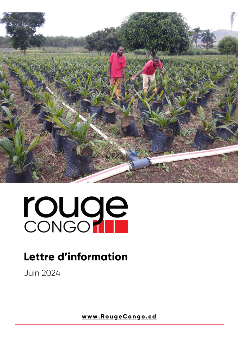 RougeCongo – La meilleure huile du congo